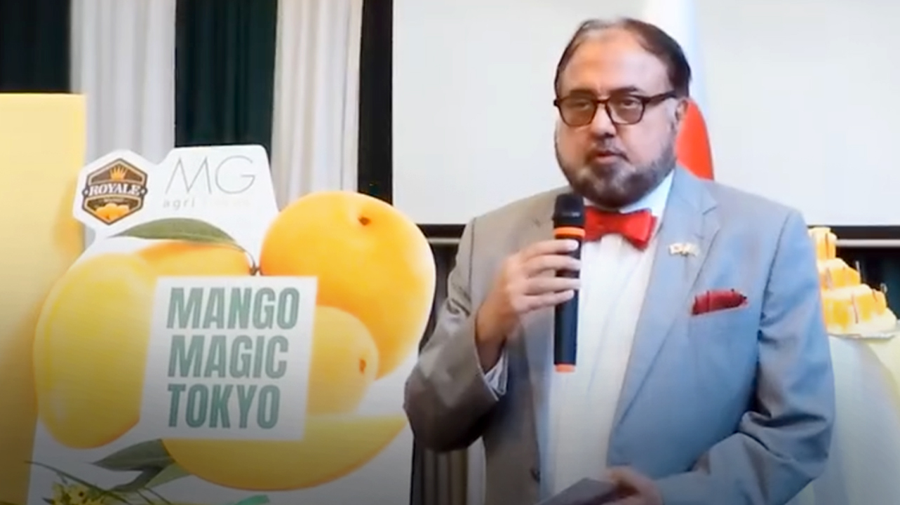 Pakistani Chunsa Mango Ceremony – Washin Trading